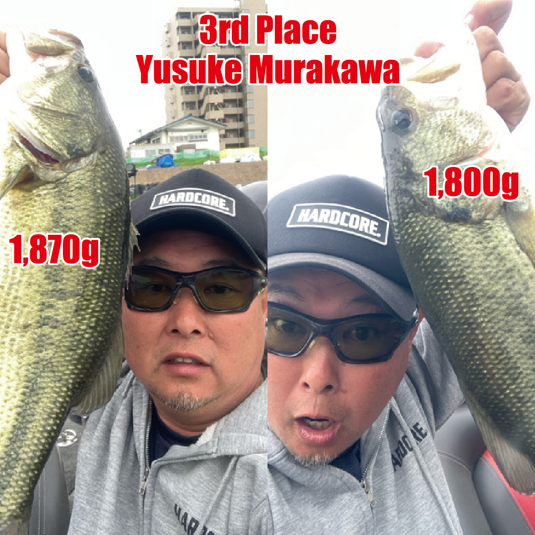 WEBでランキング